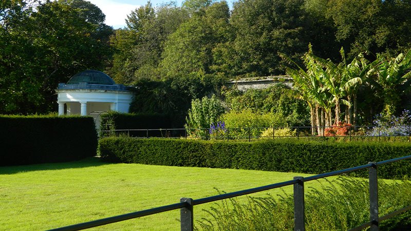 Group Visits - Fota House